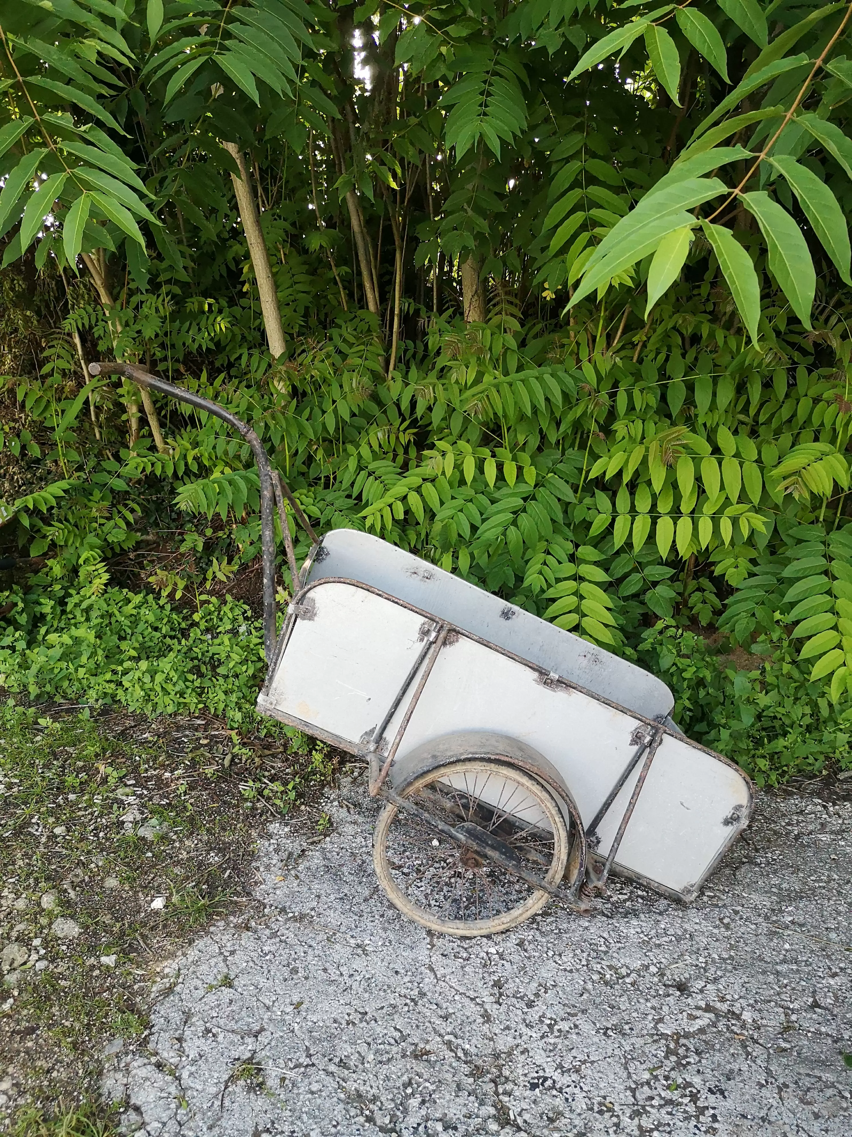 Charette à bras | Brikbroc, brocante en ligne